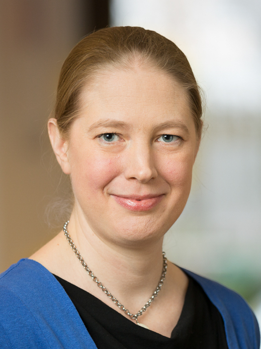 Handbok om hållbarhetsaspekter för svensk skogsråvara klar - BioInnovation