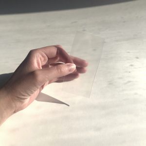 GoneShells: Bio-based degradable packaging – step 1 - BioInnovation