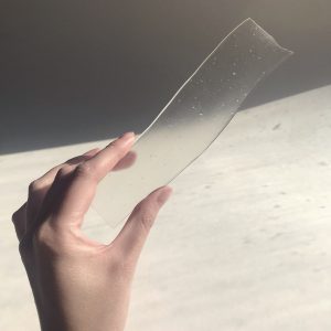 GoneShells: Bio-based degradable packaging – step 1 - BioInnovation