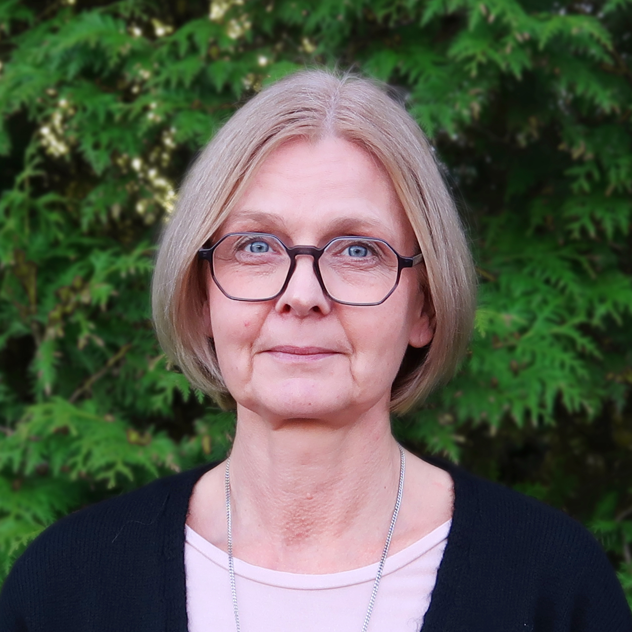 BioInnovation: New research will contribute to a more sustainable ...