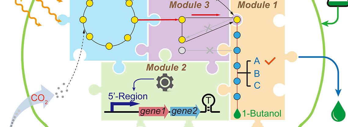 Gröna Cellfabriker, Hållbara kemikalier från CO2 – steg 1 - BioInnovation