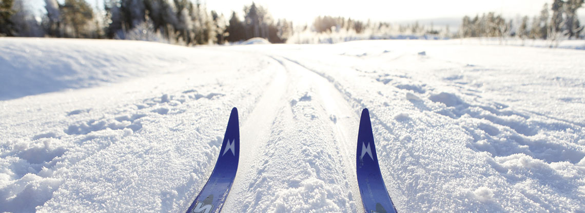 Biodegradeability, static & dynamic water contact angles of biobased ...